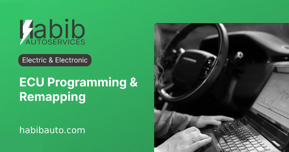 ECU Programming - Habib Auto Services - Limassol