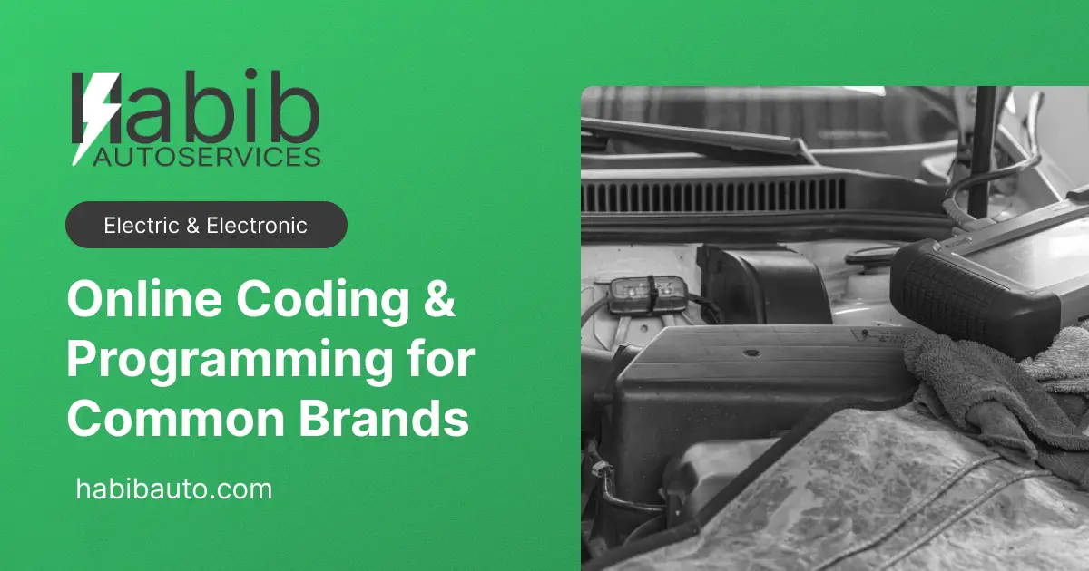 Online Coding & Programming - Habib Auto Services - Limassol